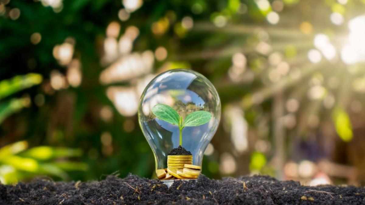 Día Internacional del Ahorro de Energía: Un Compromiso con el Futuro - Cavala